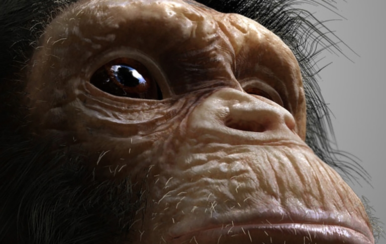 3D Chimp Character CGI Illustration - Illustration Agent Website