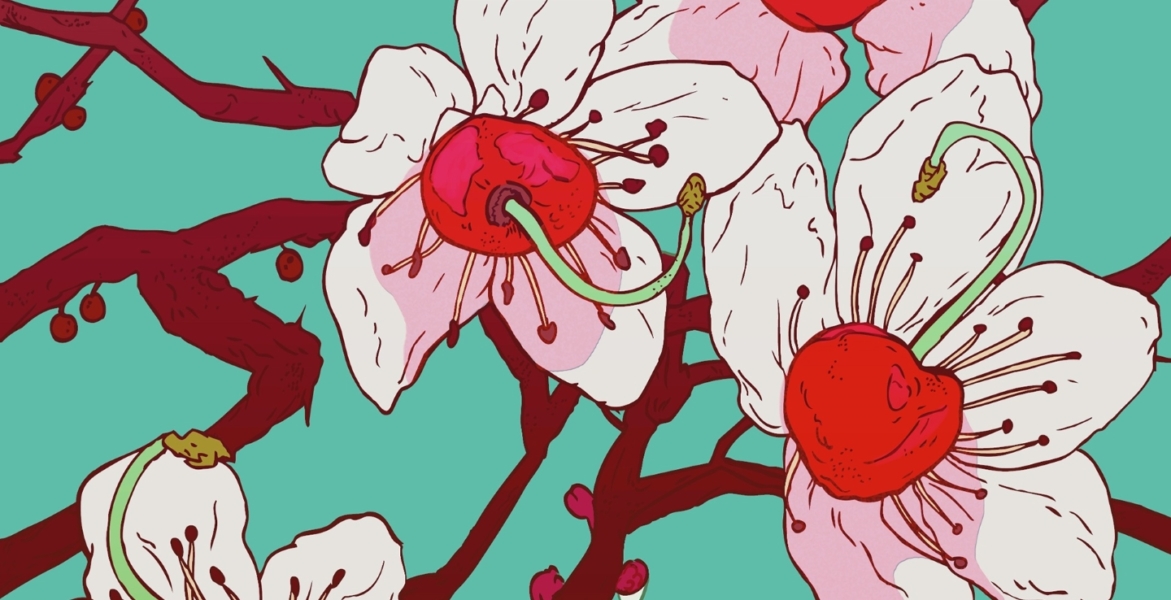 2D Graphic Cherry Blossoms Flowers Digital Illustration - Illustration ...