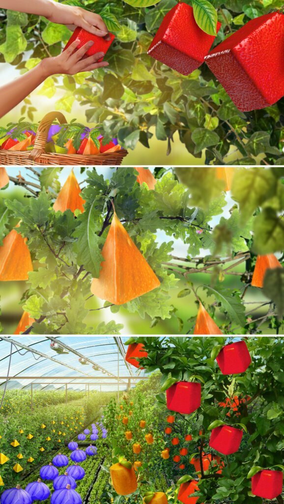 Nature Storyboard Animatic - Illustration Agent Website